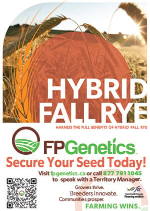 Harness the Full benefits of Hybrid Fall Rye